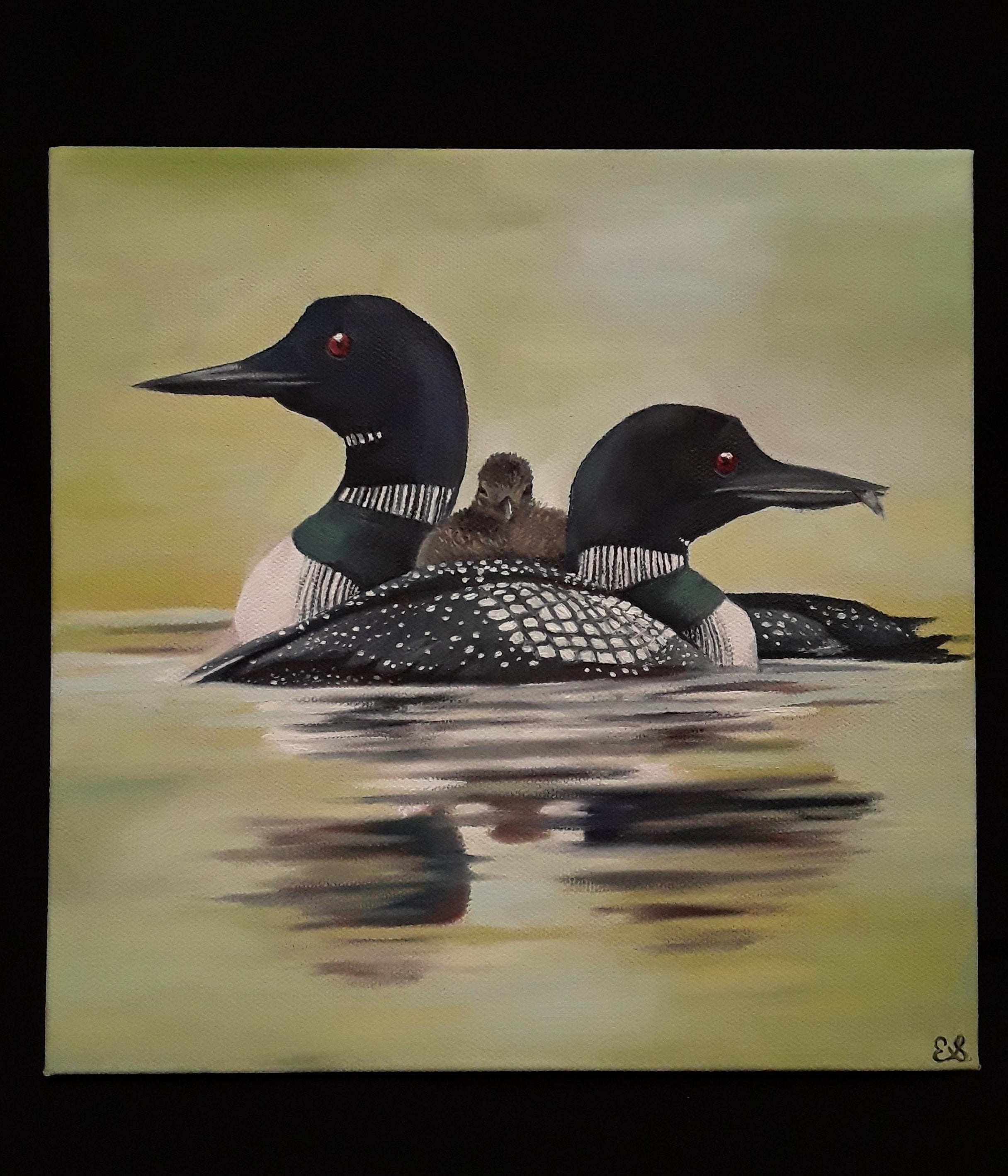 Original- Loon Family – HannahGrimesMarketplace